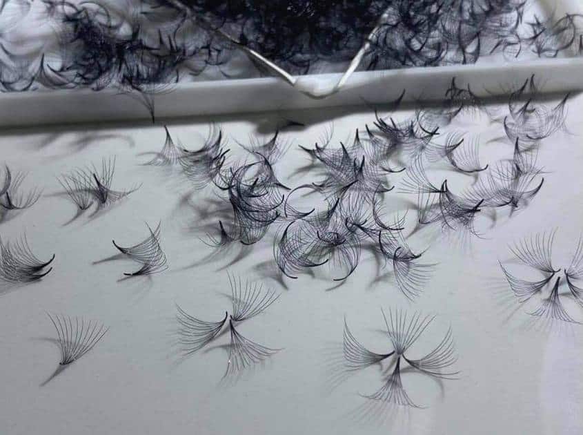 10D ProMade Hand-Made Volume Lashes Fans (Loose) | LASH Vegas
