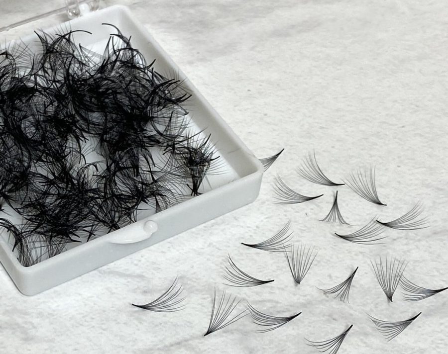 10D ProMade Hand-Made Volume Lashes Fans (Loose) | LASH Vegas