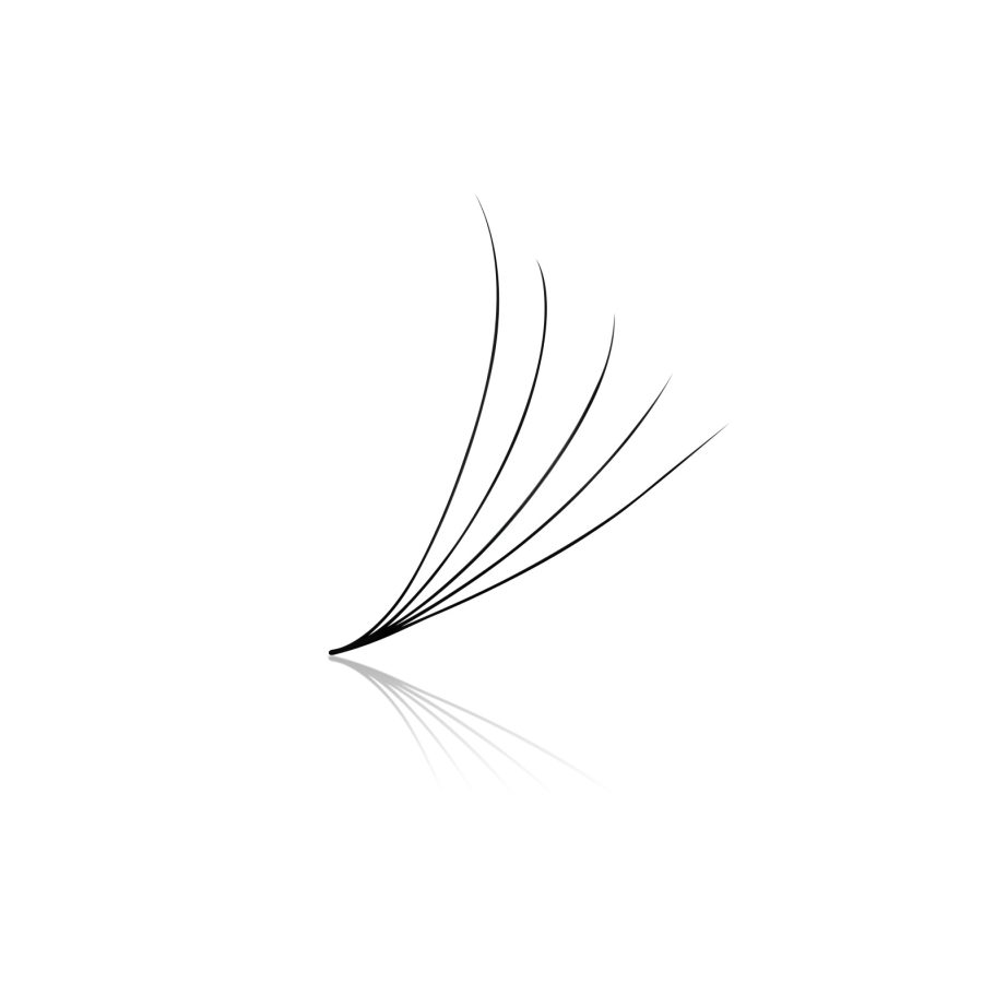 5D ProMade Hand-Made Volume Lashes Fans (Loose) | LASH Vegas