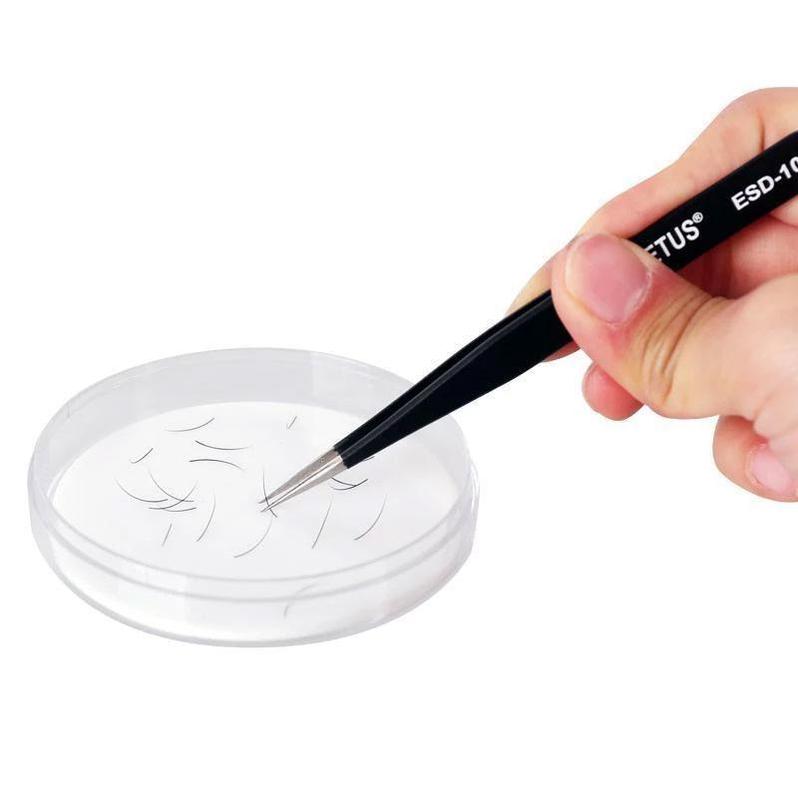 BL Lash Pad | LASH Vegas